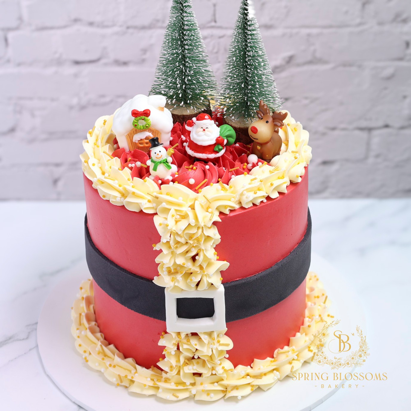 Santa Festive Christmas Cake - Spring Blossoms Bakery